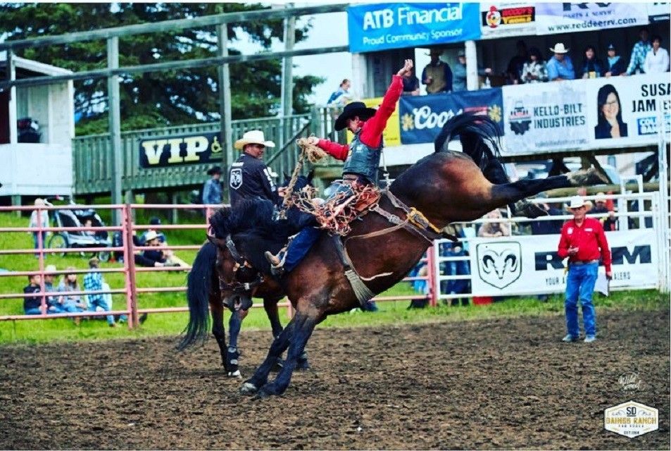 Daines Ranch Pro Rodeo | Canada's Alberta