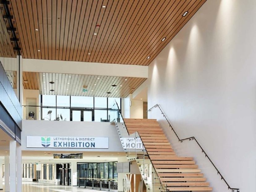 Excite Lethbridge | Alberta Canada