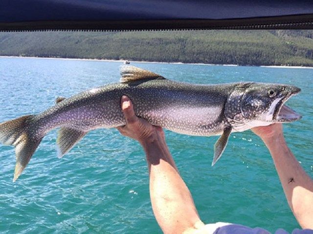 Banff Fishing Unlimited | Canada's Alberta Banff Fishing Unlimited | Canada's Alberta