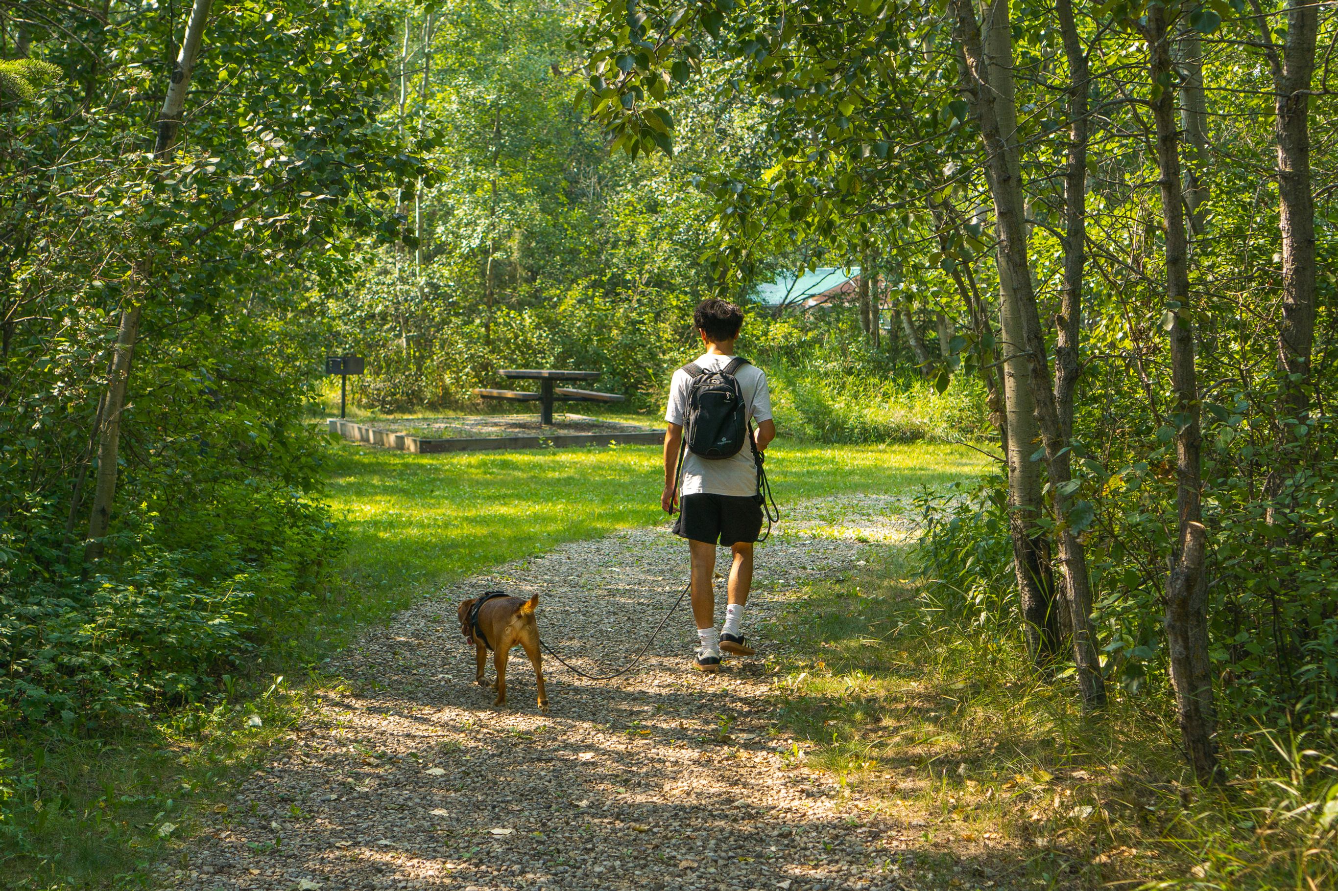 South Cooking Lake Park | Canada's Alberta