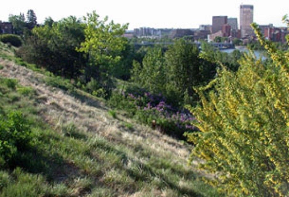 Mchugh Bluff Park Canadas Alberta