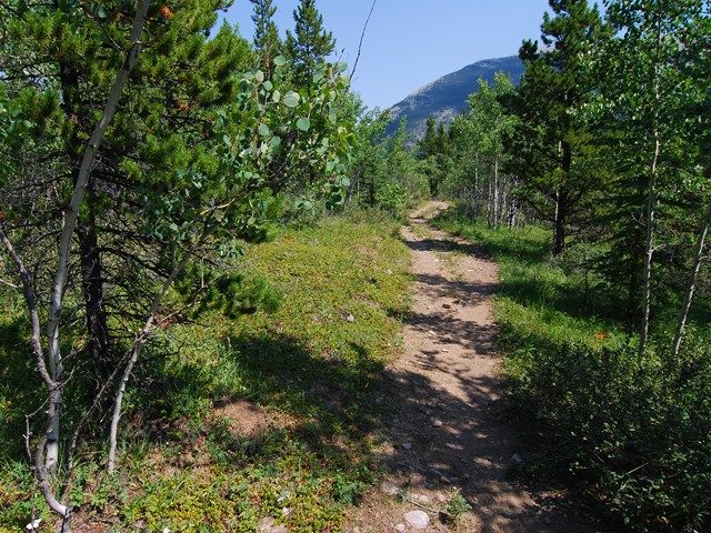 Little Elbow Provincial Recreation Area | Alberta Canada