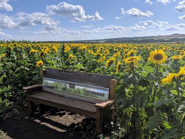 Bowden SunMaze | Canada's Alberta