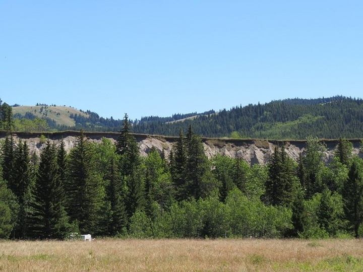 Castle River Bridge Campground | Canada's Alberta
