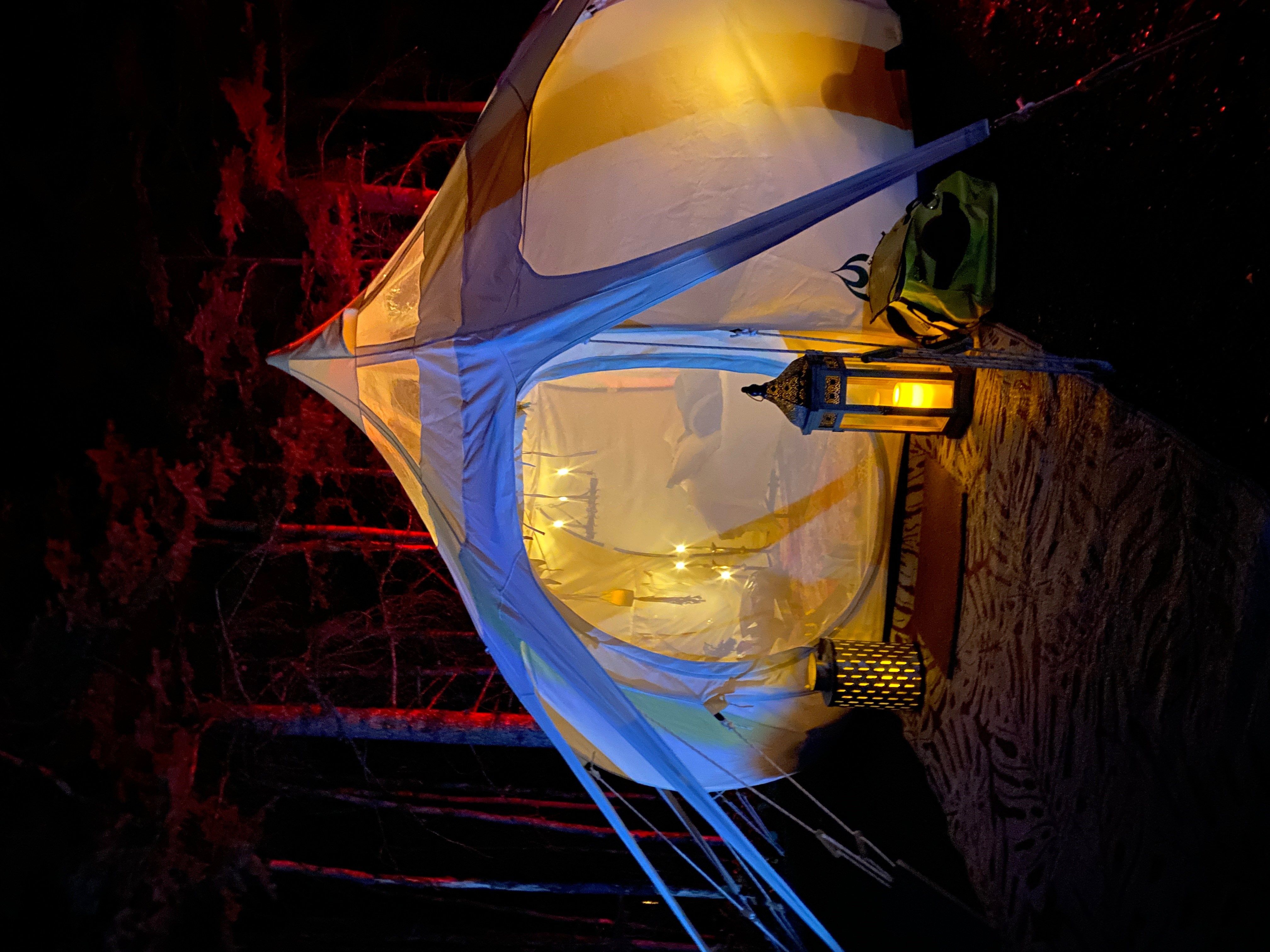 Lavish Canvas | Canada's Alberta