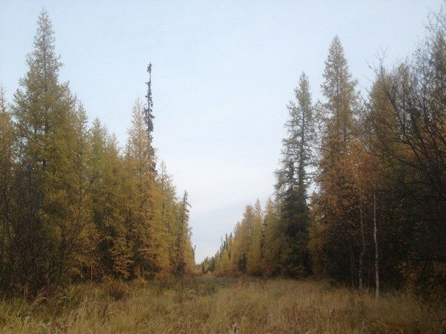 Goodwin Meadows RV Resort | Canada's Alberta