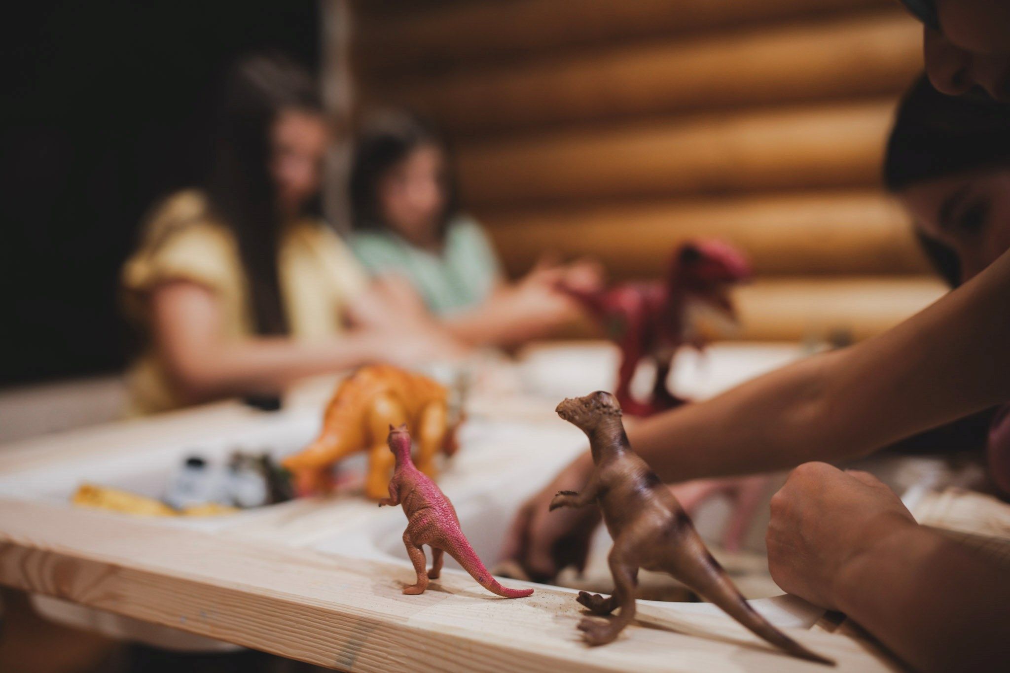 The Messy Moose Studio | Canada's Alberta