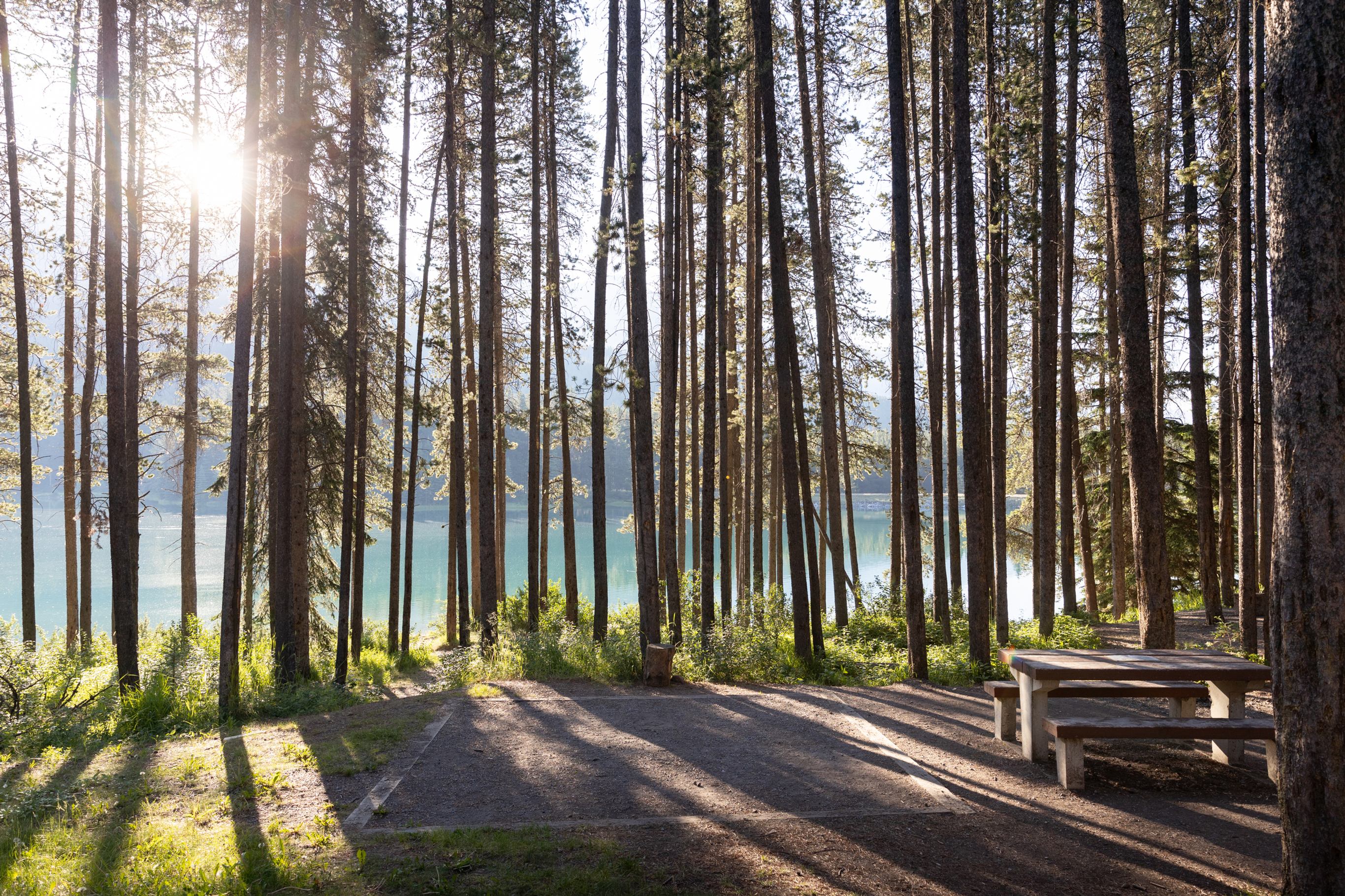 Two Jack Lakeside Campground | Canada's Alberta