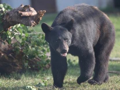 Discovery Wildlife Park | Canada's Alberta