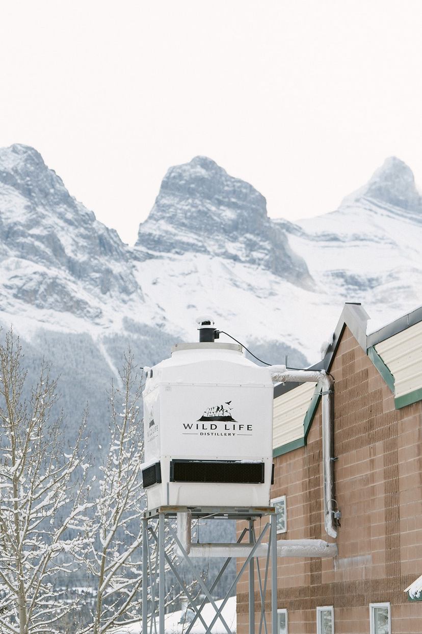 Wild Life Distillery | Canada's Alberta