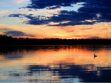 Twin Lakes Provincial Recreation Area | Alberta Canada