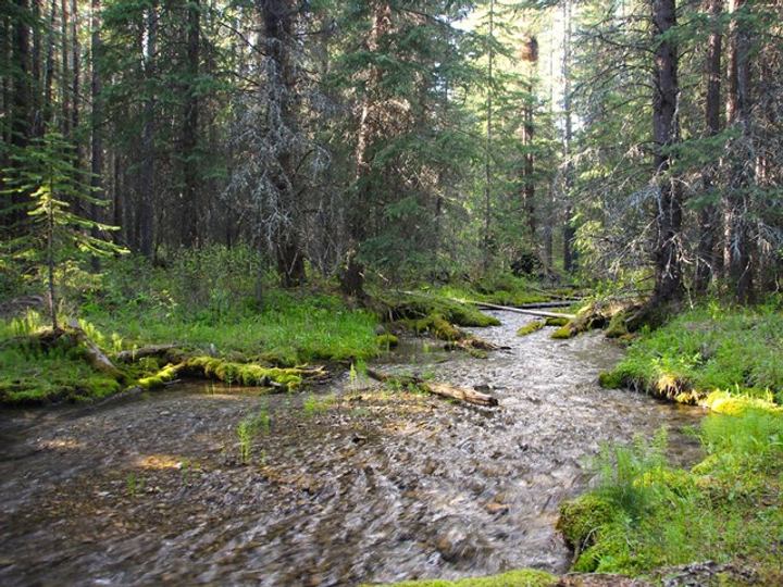 Chinook Provincial Recreation Area | Canada's Alberta
