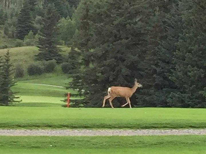 Water Valley Golf Course | Canada's Alberta