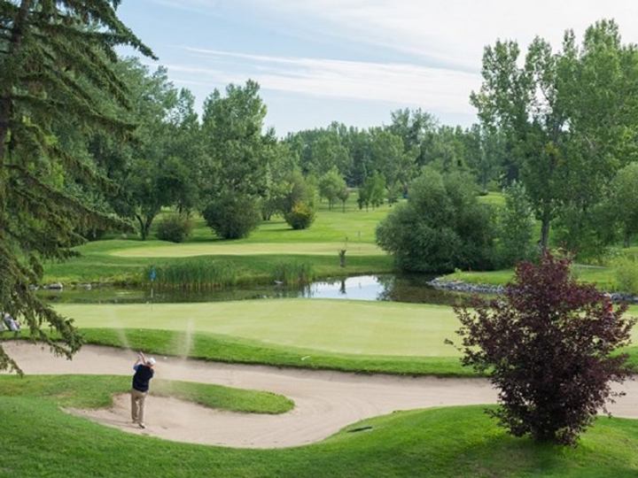 Shaganappi Point Golf Course | Alberta Canada
