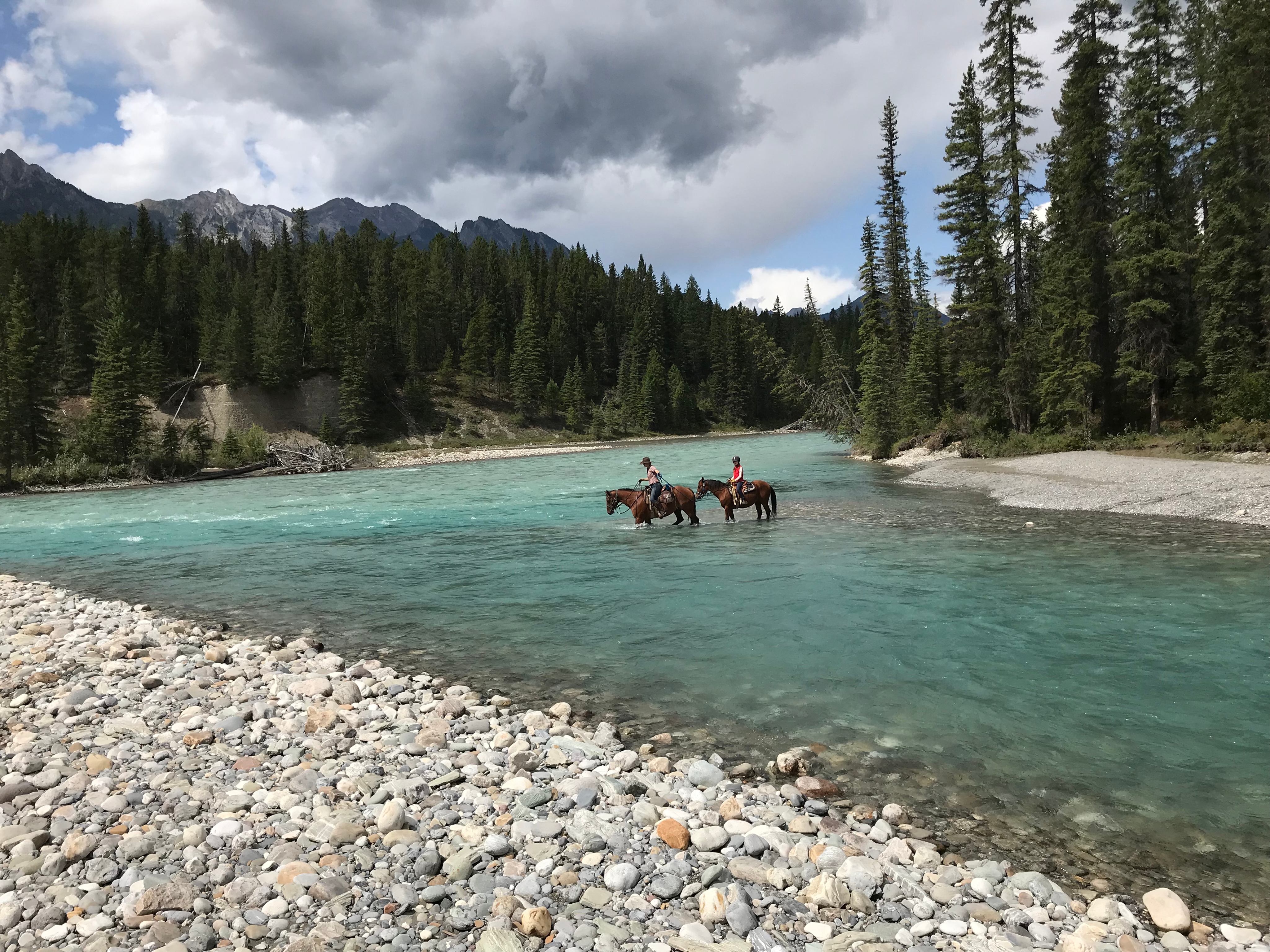 Moose Mountain Horseback Adventures | Canada's Alberta
