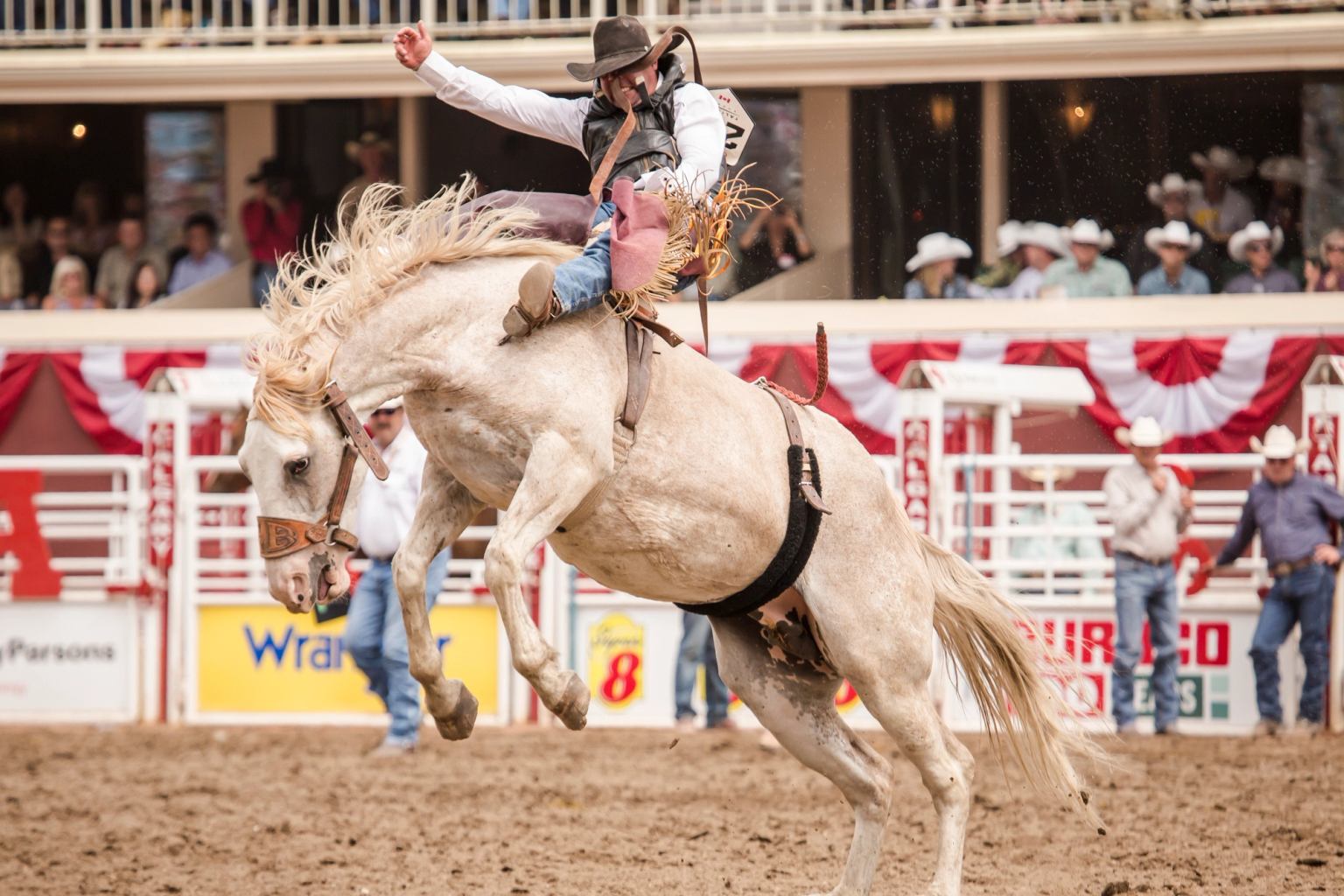 Calgary Stampede First Nations Rodeo & Relay | Alberta Canada