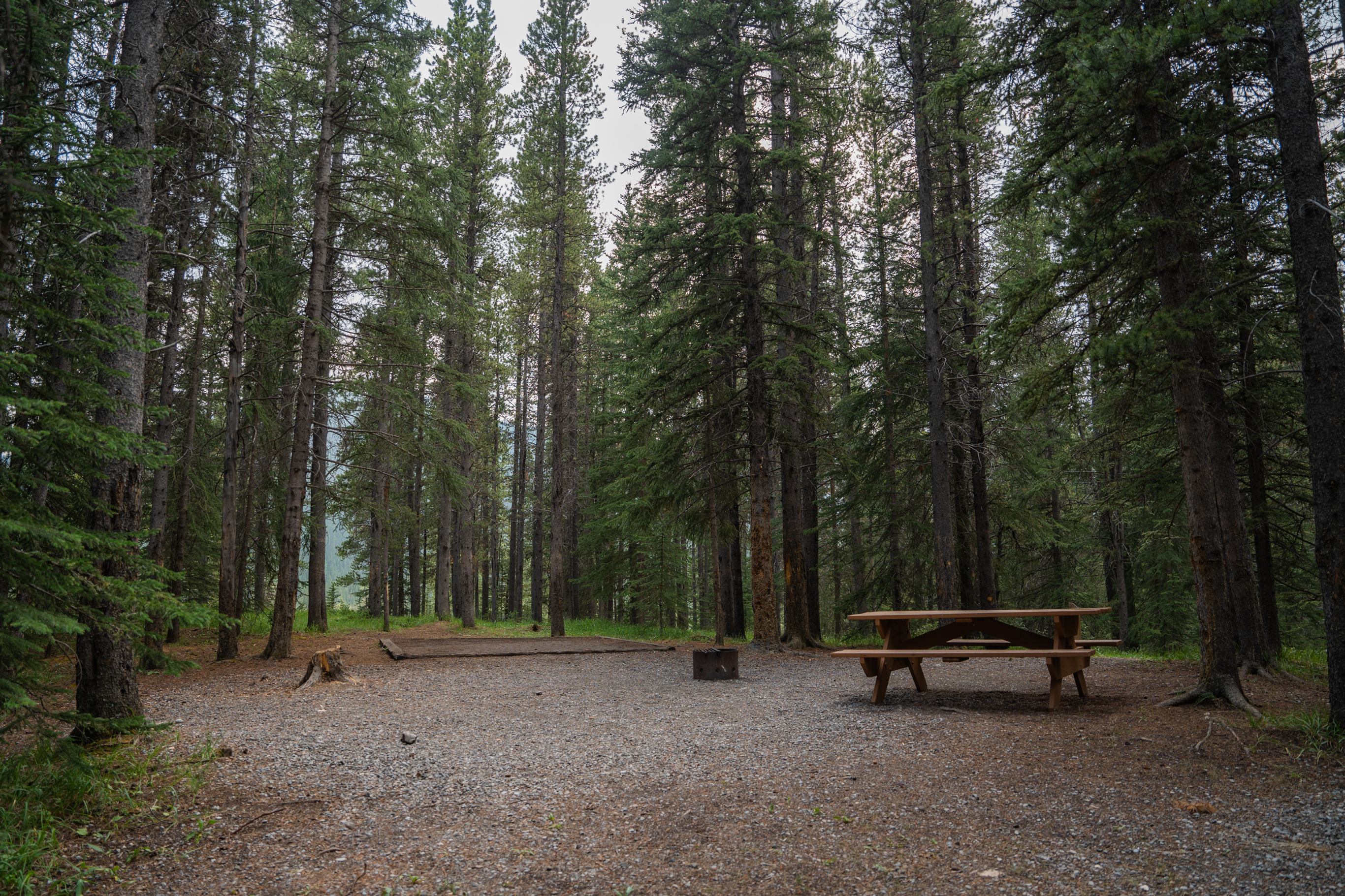 Little Elbow Campground | Canada's Alberta