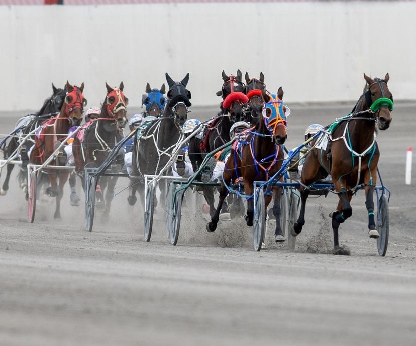 Century Downs Racetrack and Casino | Canada's Alberta