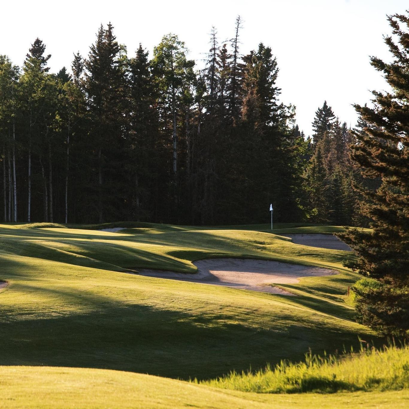 Priddis Greens Golf & Country Club | Canada's Alberta