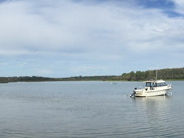 French Bay Lower East Campground | Canada's Alberta