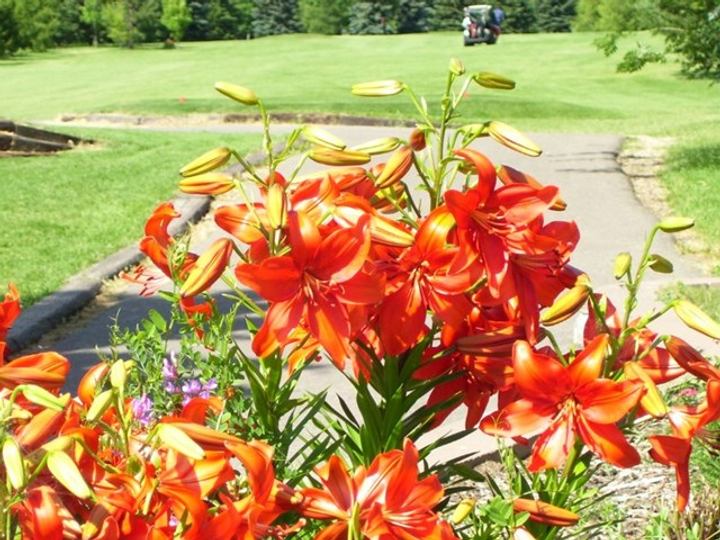 Balmoral Golf Course | Canada's Alberta