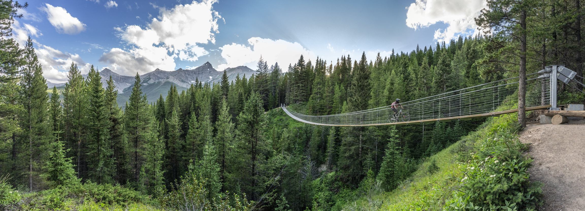 Blackshale Creek Suspension Bridge | Alberta Canada