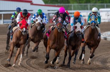 Century Mile Racetrack and Casino | Canada's Alberta