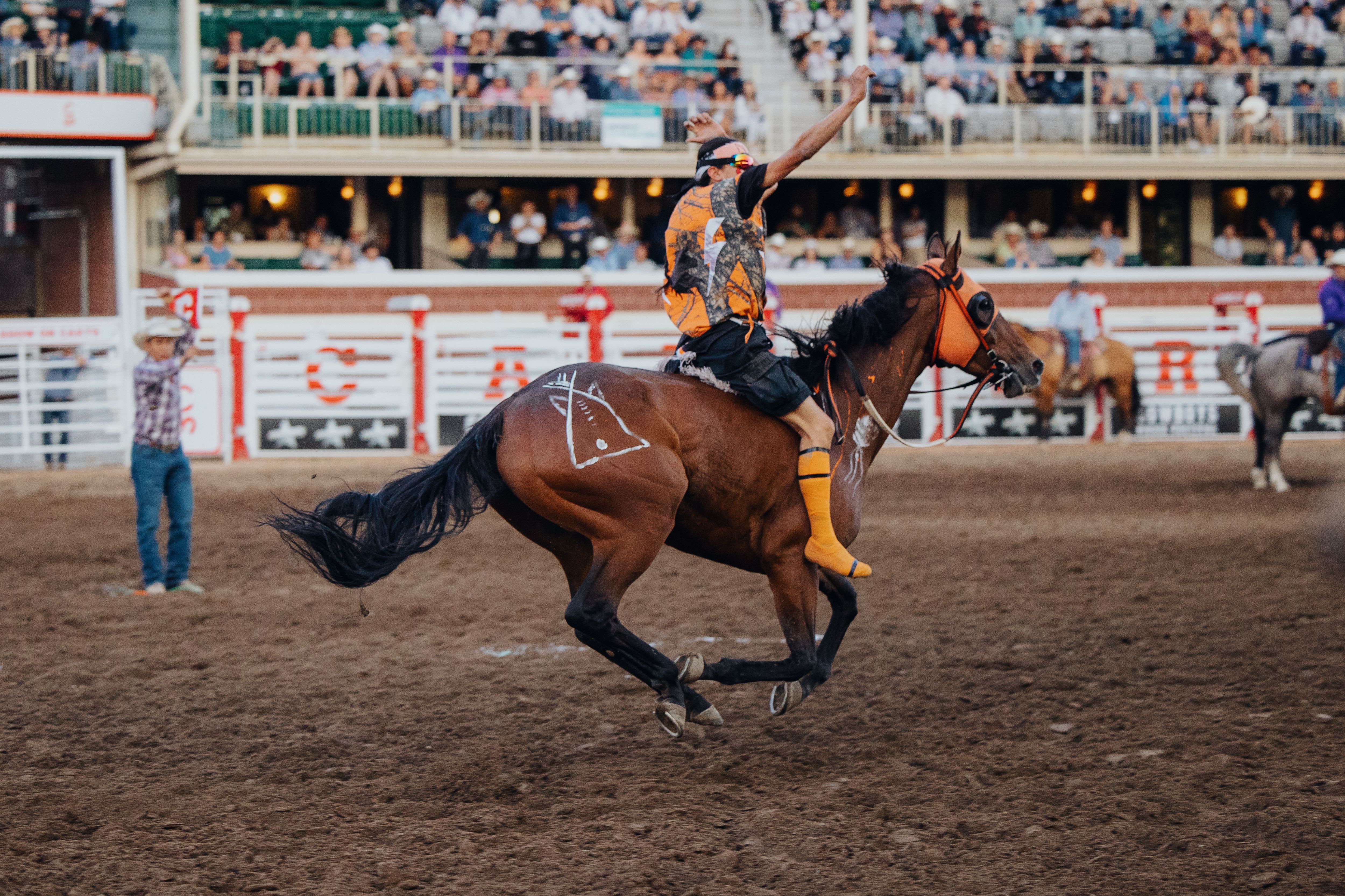 Calgary Stampede First Nations Rodeo & Relay | Alberta Canada