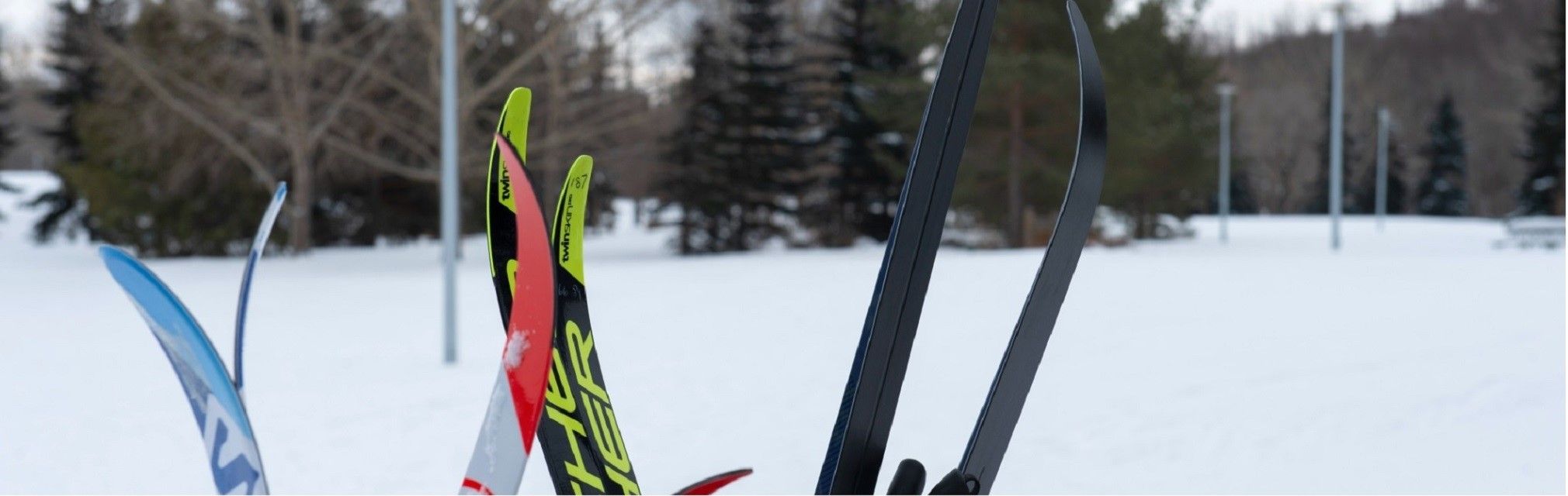 Capilano Park | Canada's Alberta