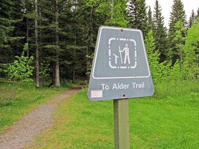 Alder Trail | Canada's Alberta