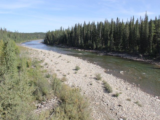 McLeod River Provincial Recreation Area | Alberta Canada