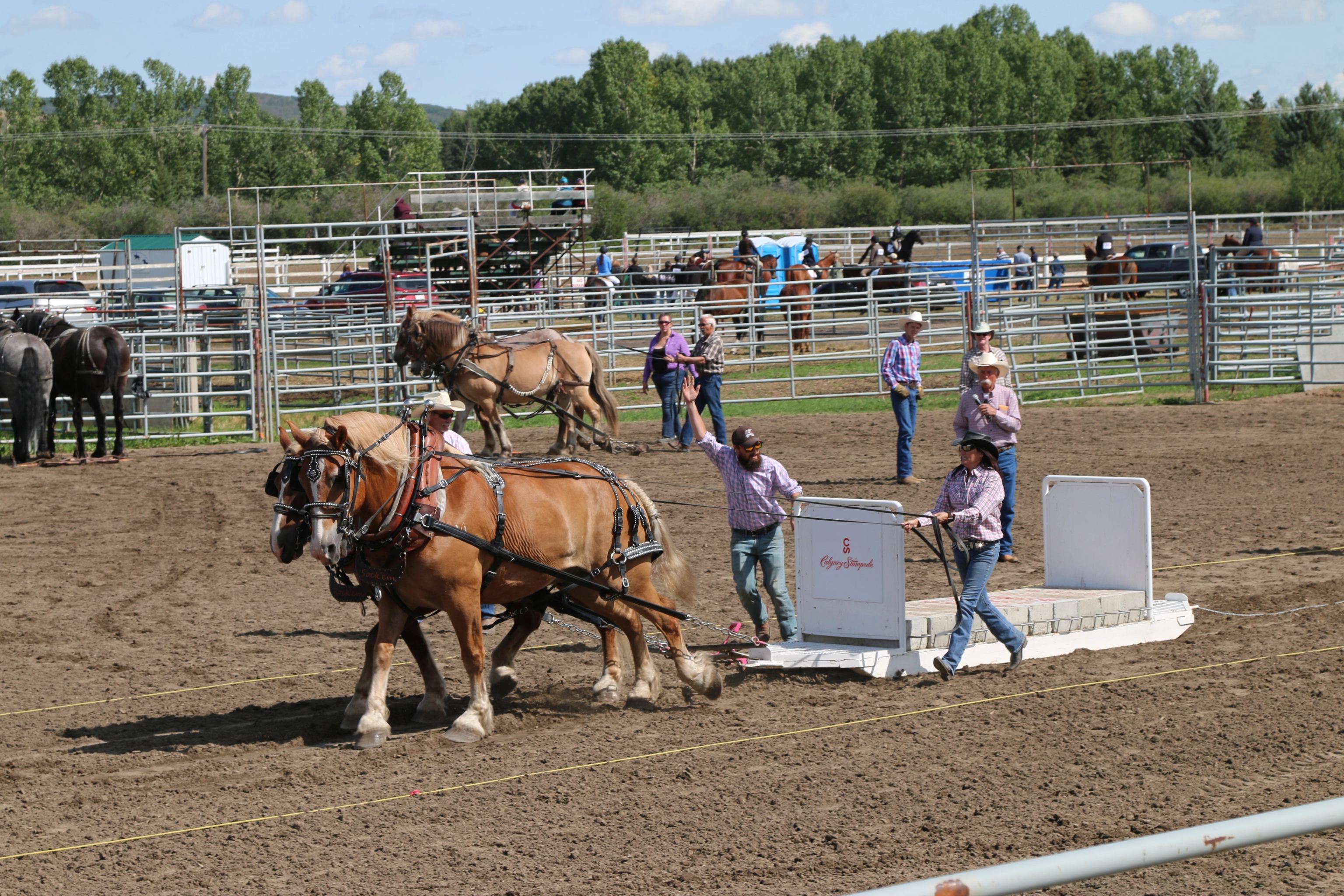 Priddis & Millarville Fair | Canada's Alberta