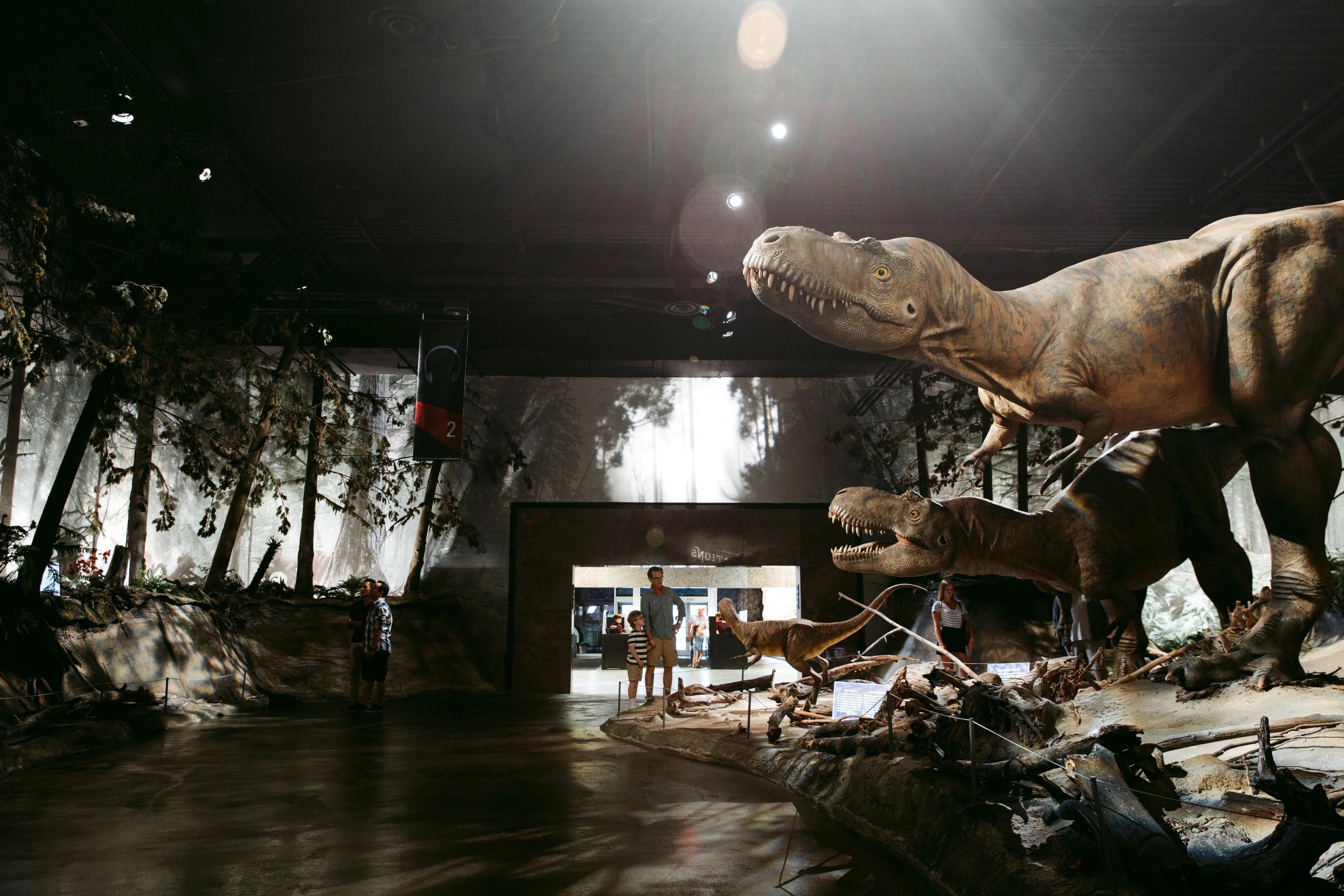 Royal Tyrrell Museum | Canada's Alberta