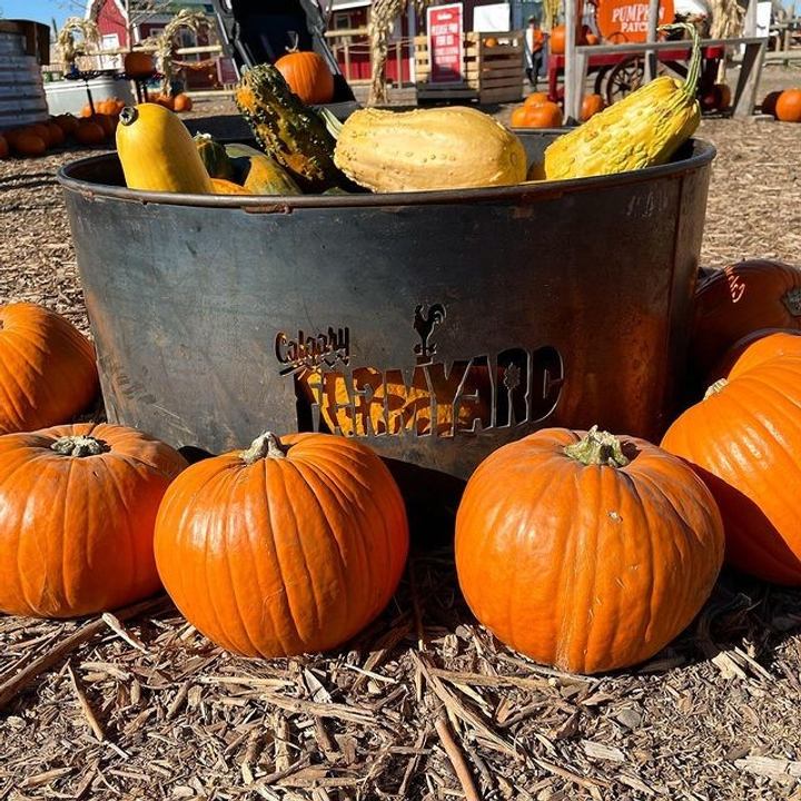 Calgary Farmyard | Canada's Alberta