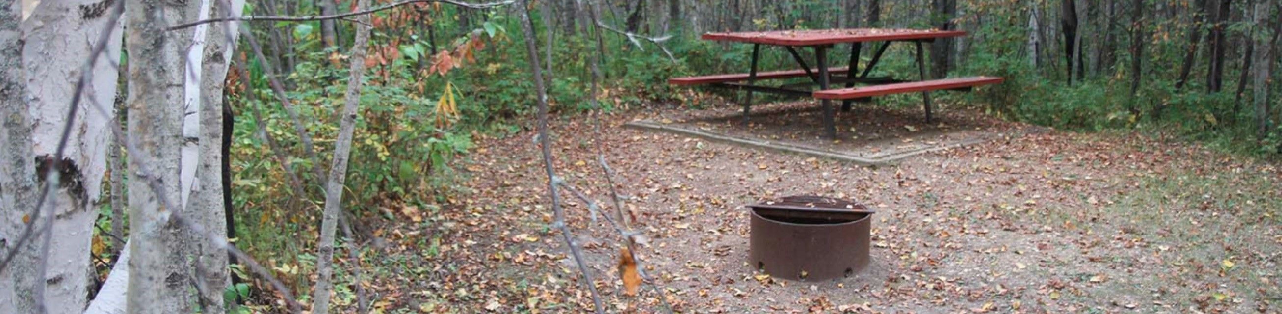 Jackfish Lake Campground Athabasca | Canada's Alberta