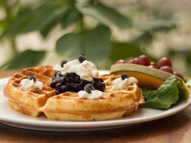 The Saskatoon Farm Cafe | Canada's Alberta