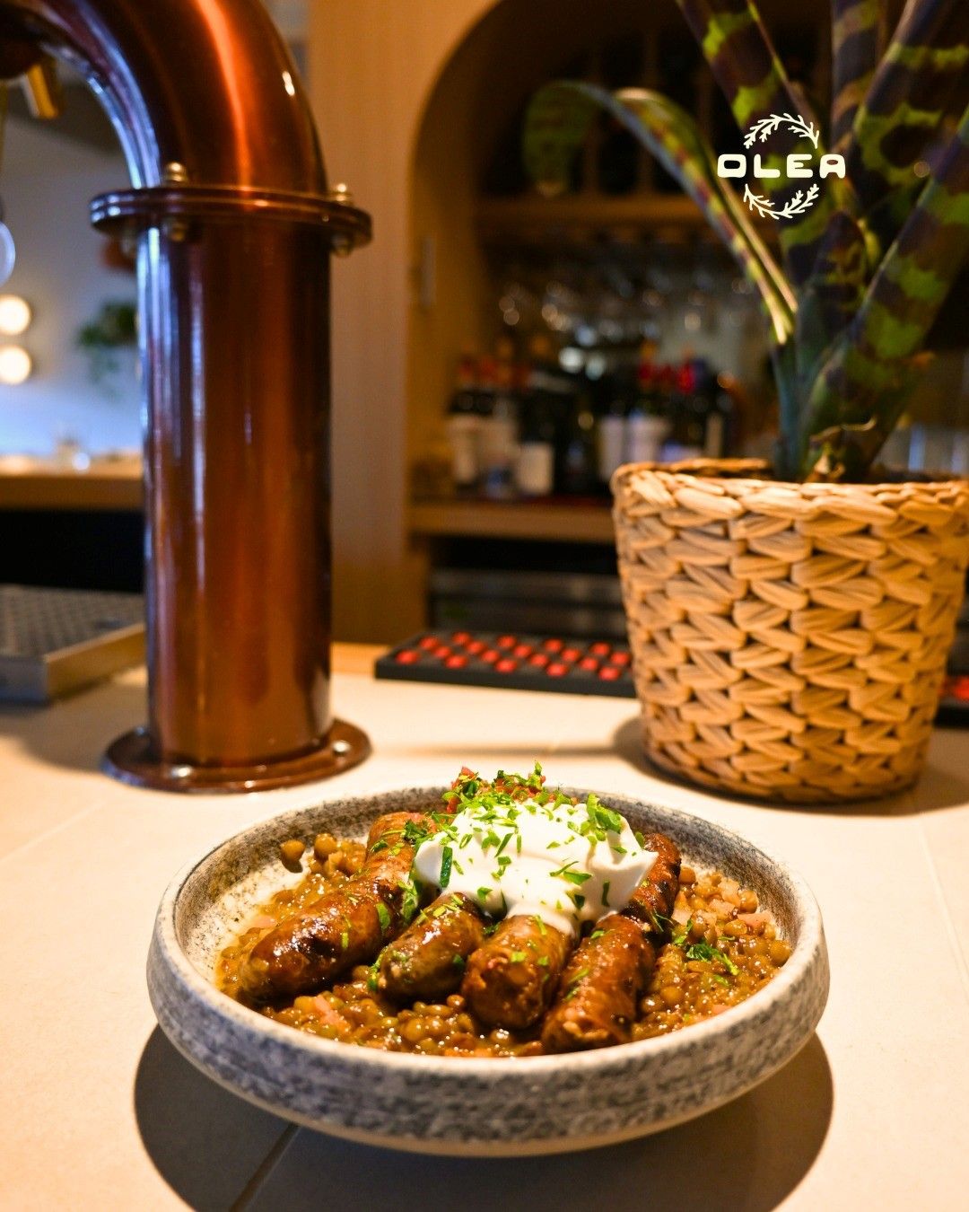 Olea | Canada's Alberta