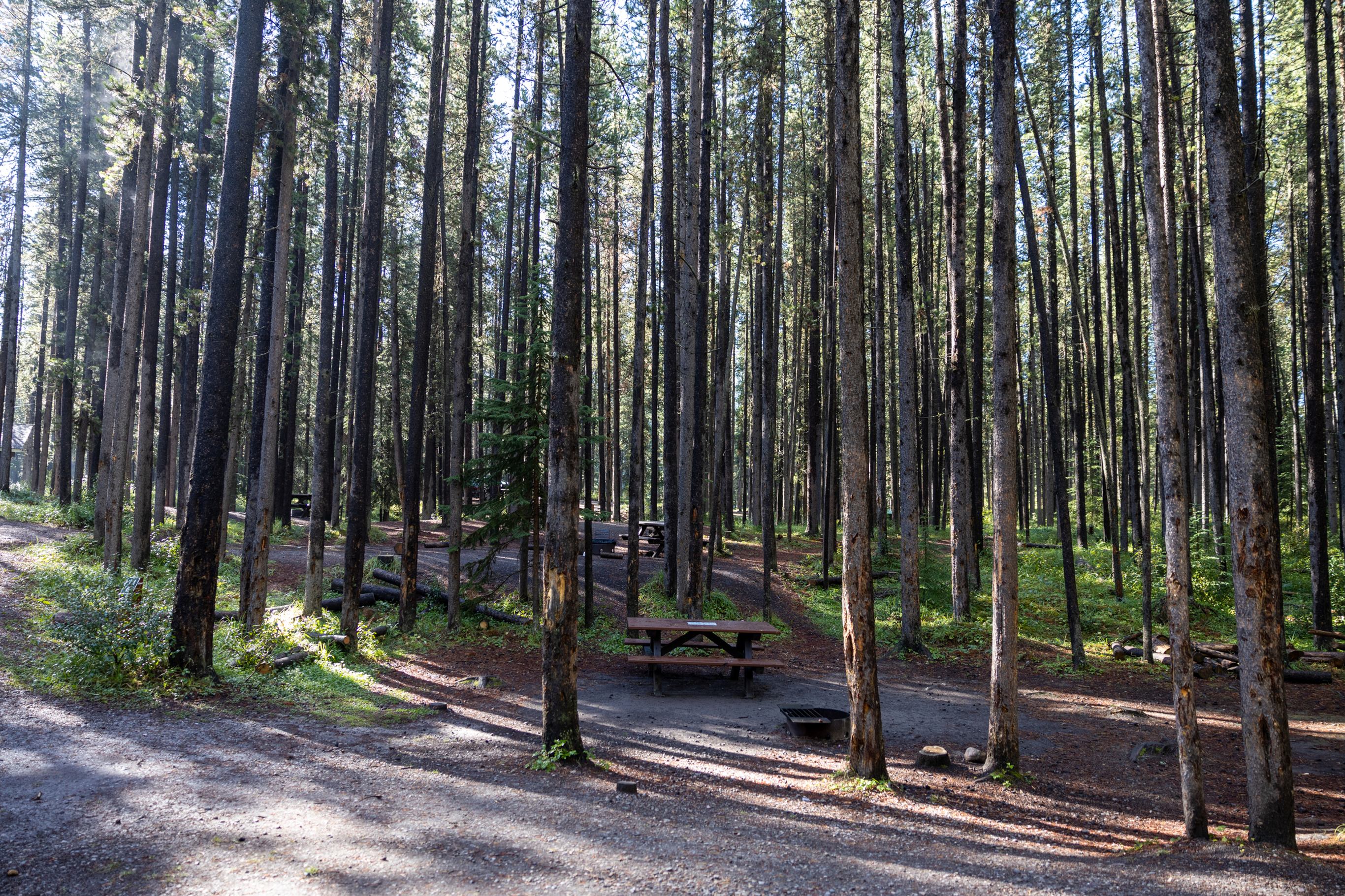 Two Jack Main Campground | Alberta Canada