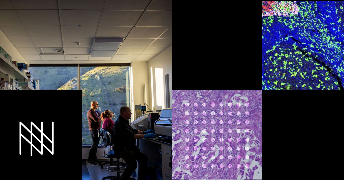 NOETIK: A New Foundation for Cancer