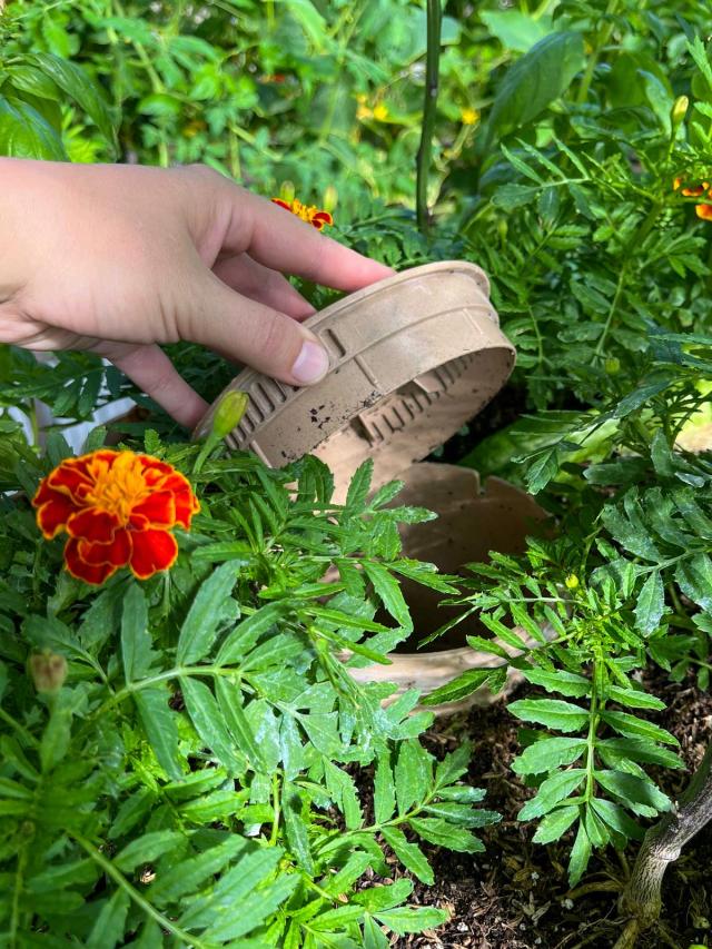 Vermiculture, Vermicomposting, and How to Do It | Growing Spaces®
