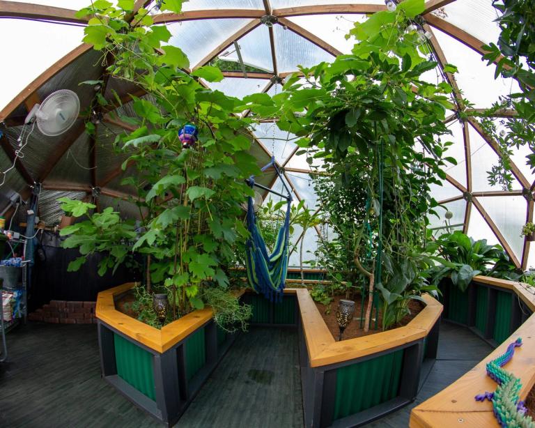 Tropical Forest Garden in a Washington Greenhouse | Growing Spaces®