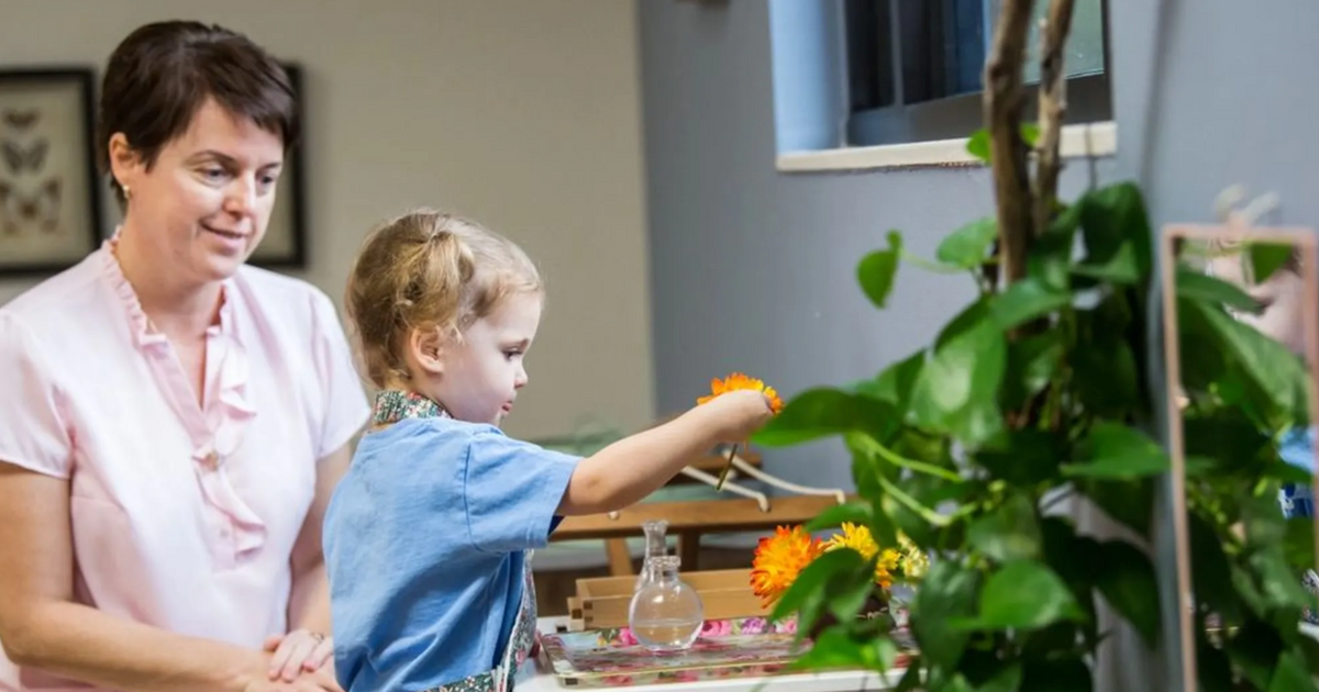 Observation Principles | The Prepared Montessorian