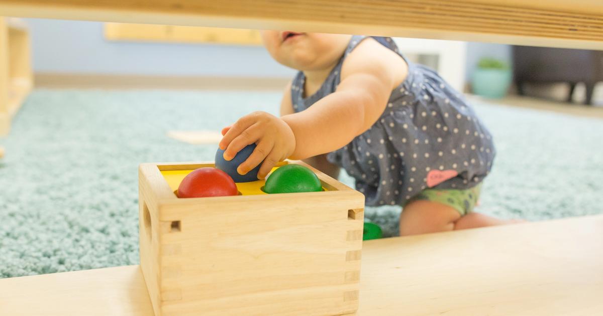 Exploring the World and Categorizing Experiences are the Early Building ...