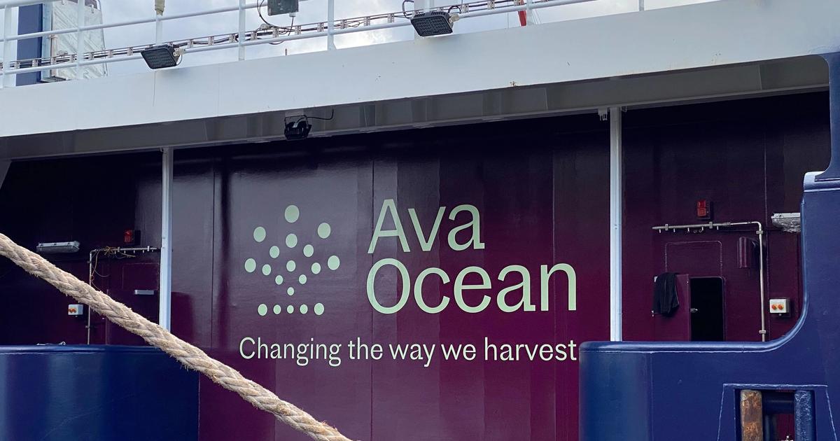 Ava Ocean | Ava Ocean highlighted as positive example fishery in The Economist
