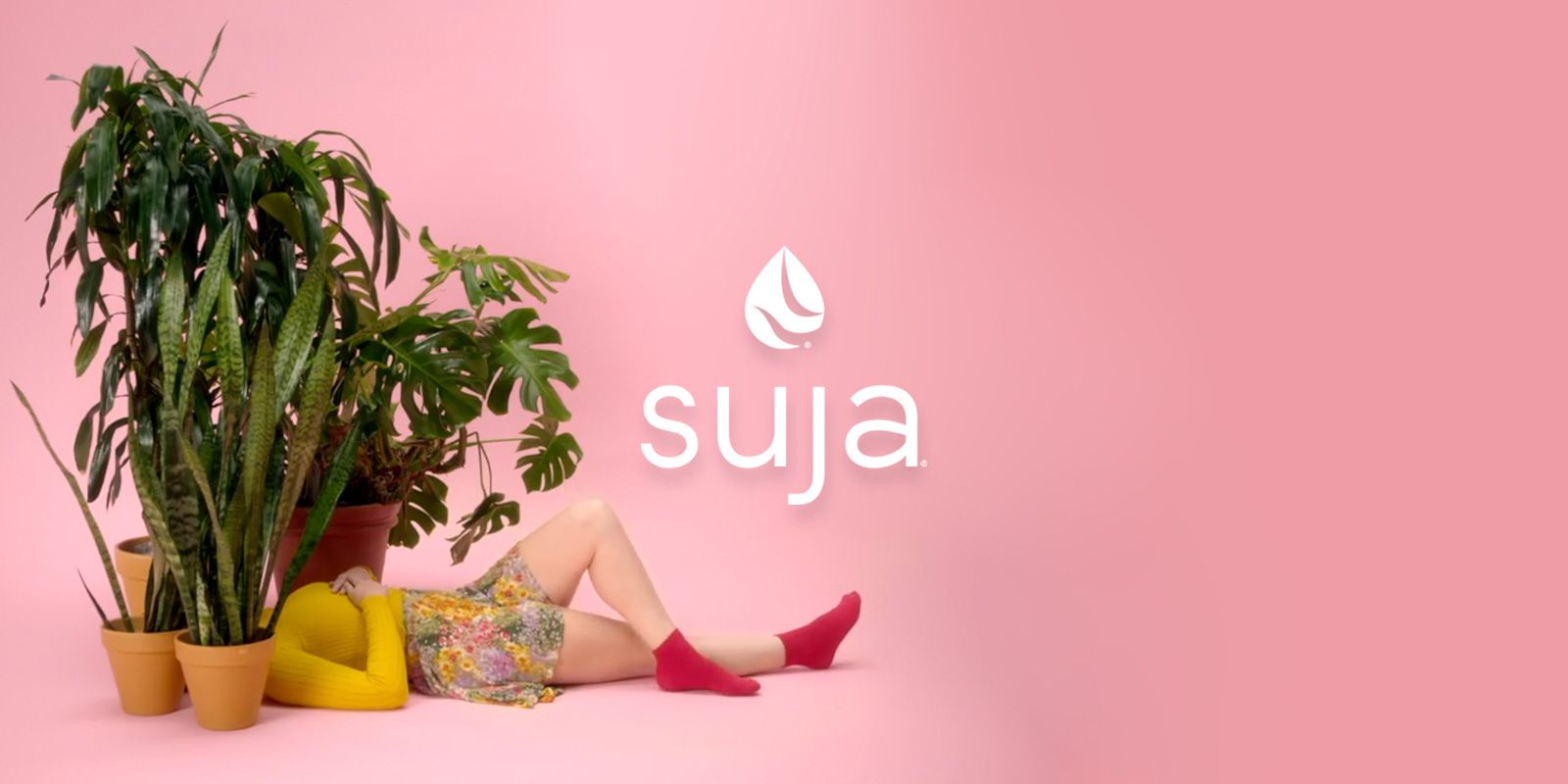 Humanaut | Suja