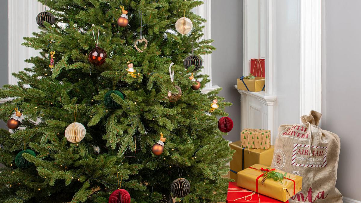 Det perfekte juletreet | Jernia