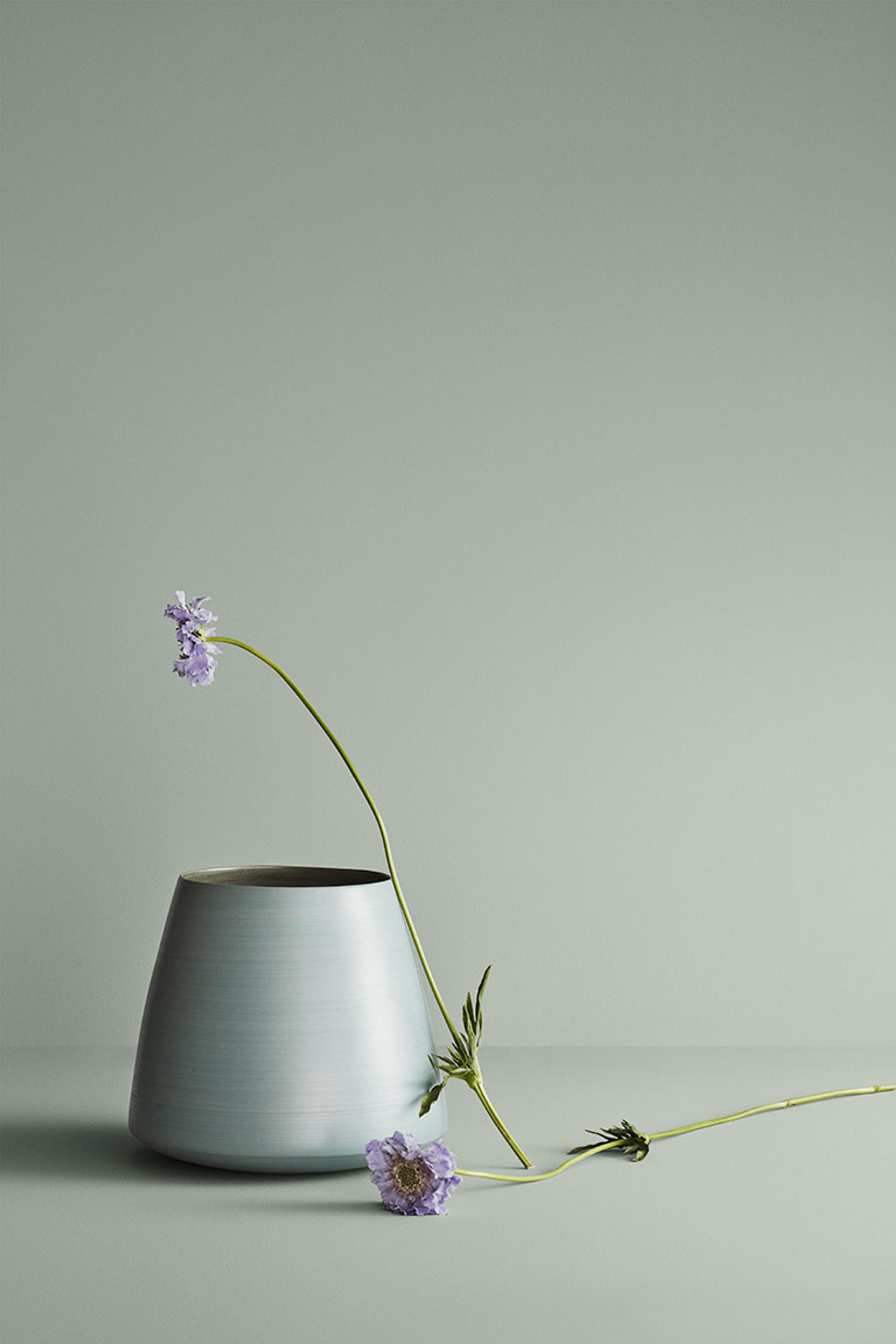 Jotuns fargekart 2020: Dette er vårens fargetrender | Jernia