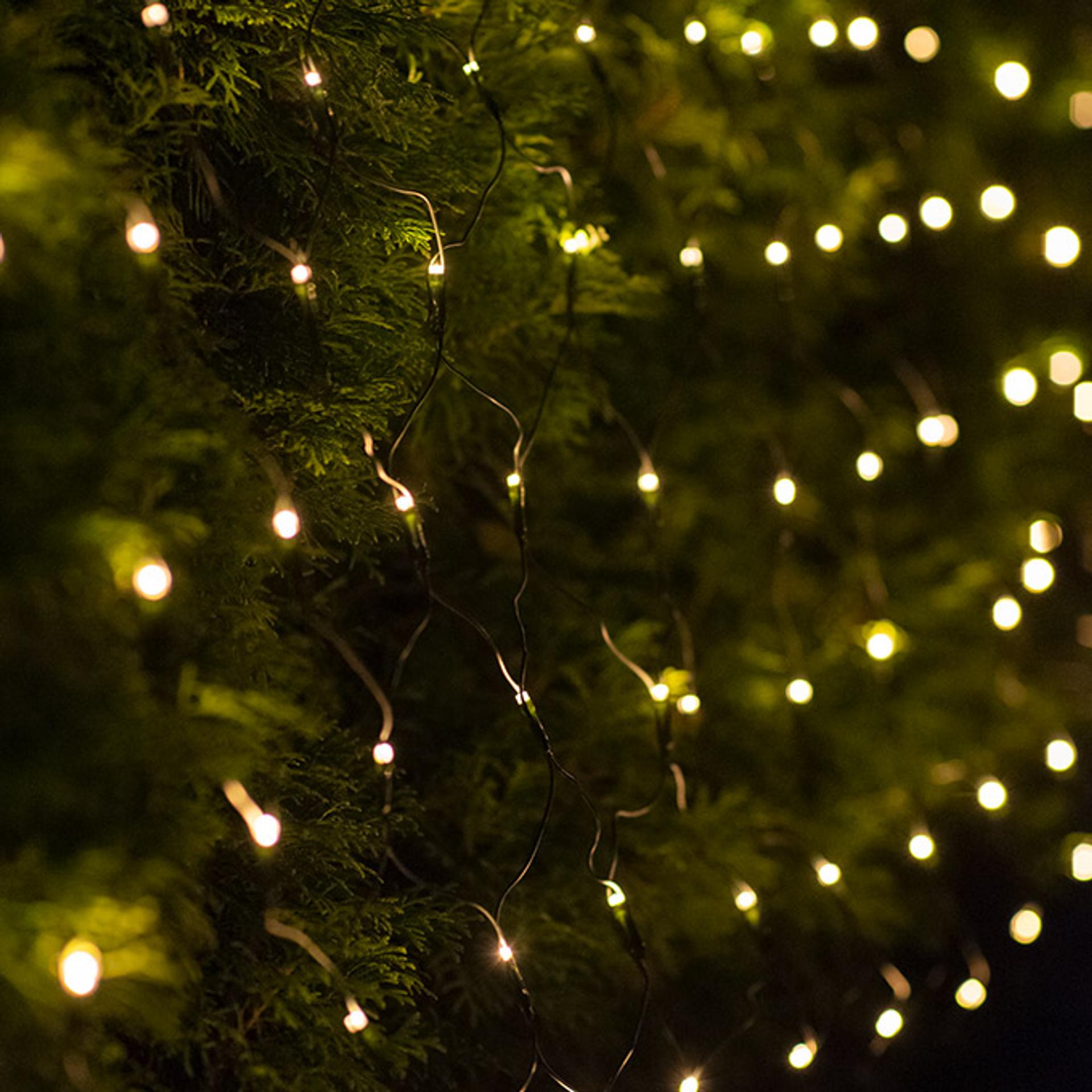 Hvordan henge opp julelys – den ultimate guiden | Jernia