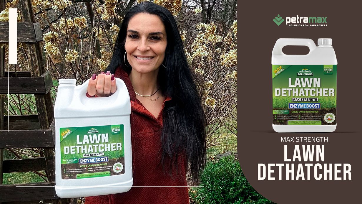 Lawn Dethatcher Support Video