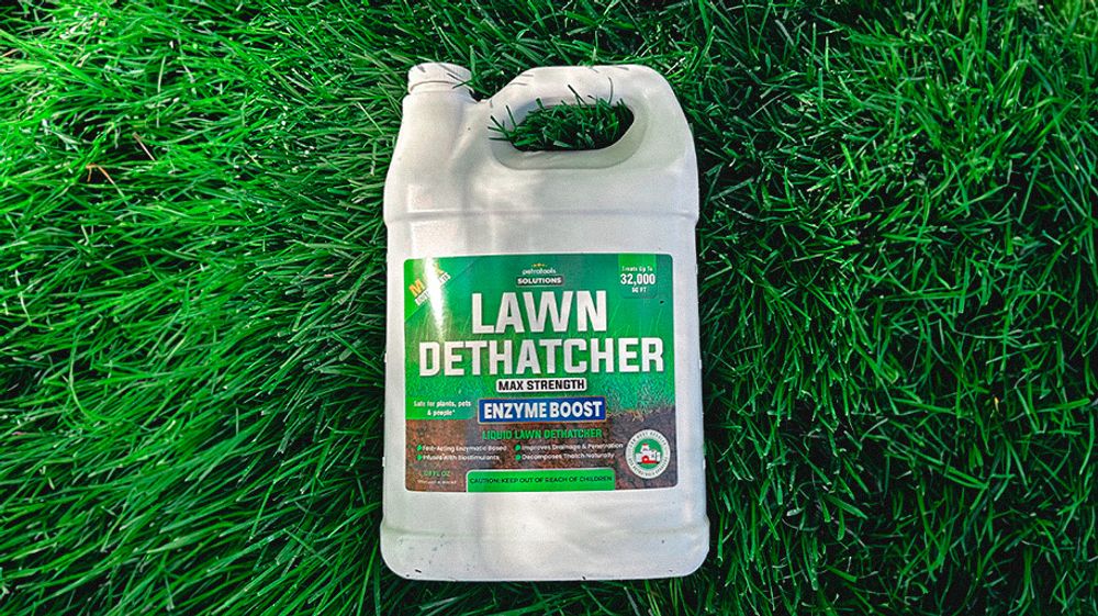 Revive Your Lawn: Liquid Lawn Dethatching Explained